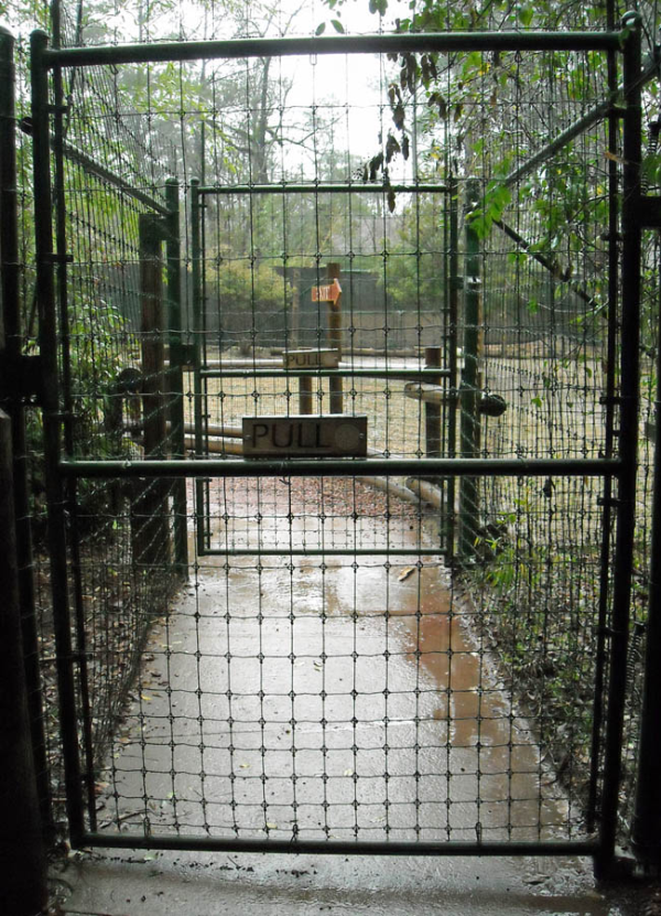 Animal Wire Mesh Fencing for Zoos, Parks and Homes